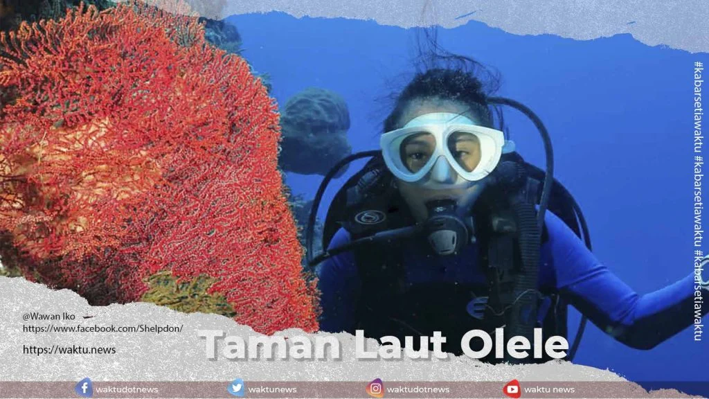Taman Laut Olele Gorontalo dengan Keunikan dan Ciri Khasnya • Waktu news