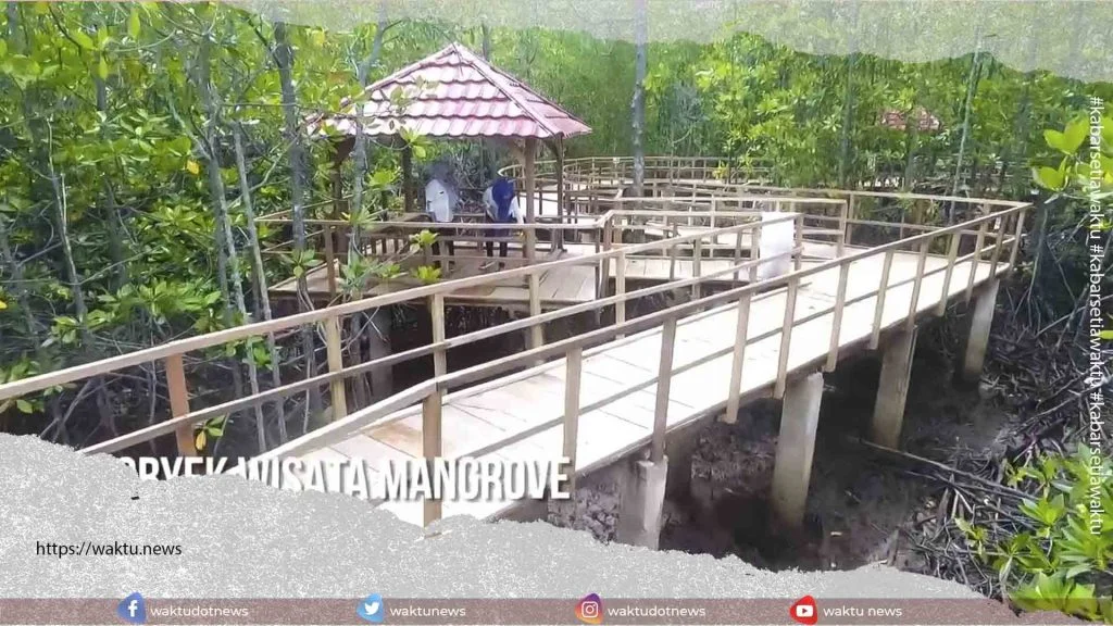 Tracking Mangrove In Love: Keindahan dan Pelestariannya • Waktu news