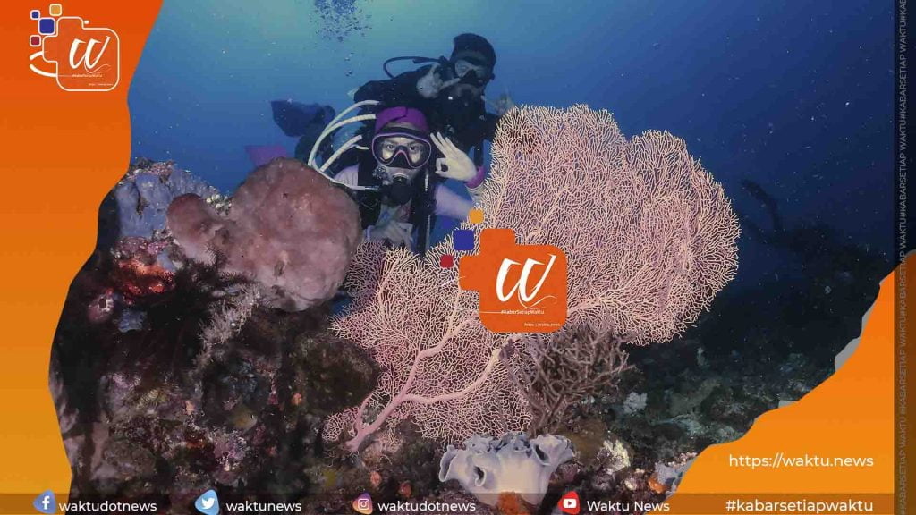 Pilihan Terbaik Tempat Wisata Bolmut yang Menyimpan Keindahan Alam ...