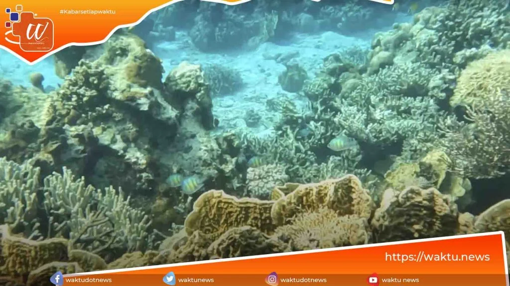 16 Rekomendasi Tempat Wisata Morowali • Waktu news